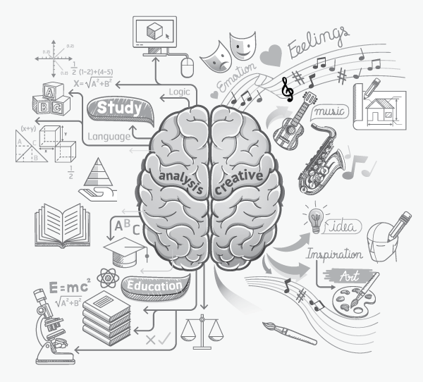 Neuroscientists Release Updated Brain Map